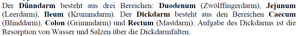 Colon Abschnitte | PR 1 Epithelgewebe: Skript | Repetico