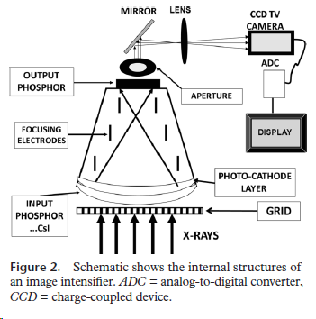Image Intensifier system FOV bis ? Vergrößerung? Detektor