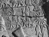 | AKVO III | Repetico