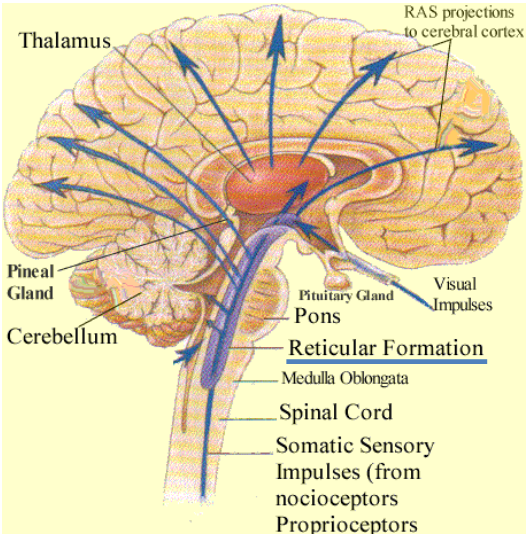 1. Aktivierung (2) 1. Welche Funktion besitzt die Formati…