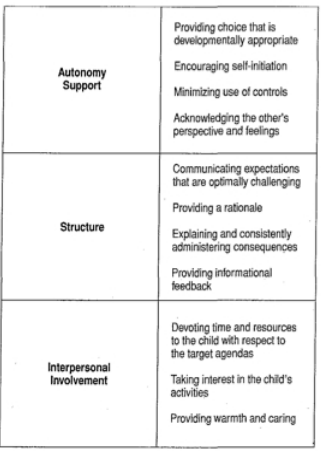 Selbstbestimmungstheorie (Edward Deci & Richard Ryan) 1... | Das Selbst ...