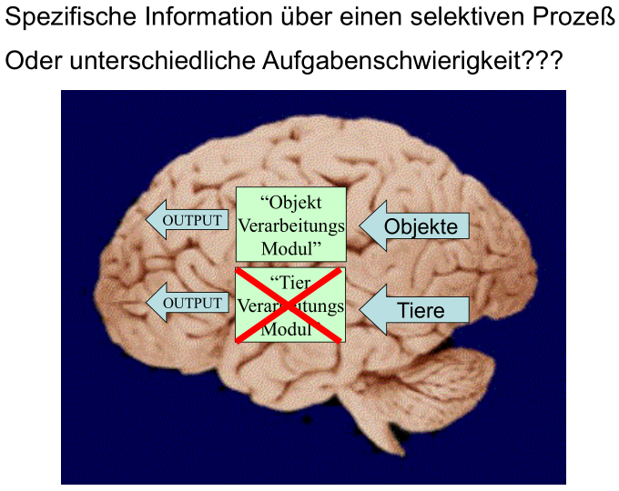 Dissoziationen | Bildgebende Verfahren | Repetico