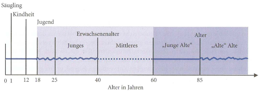 Entwicklung über die gesamten Lebensspanne 1. Grafische D…