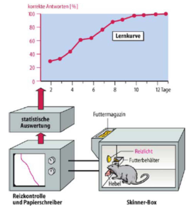 Instrumentelle (operante) Konditionierung (2) | Gedächtnissysteme Teil ...