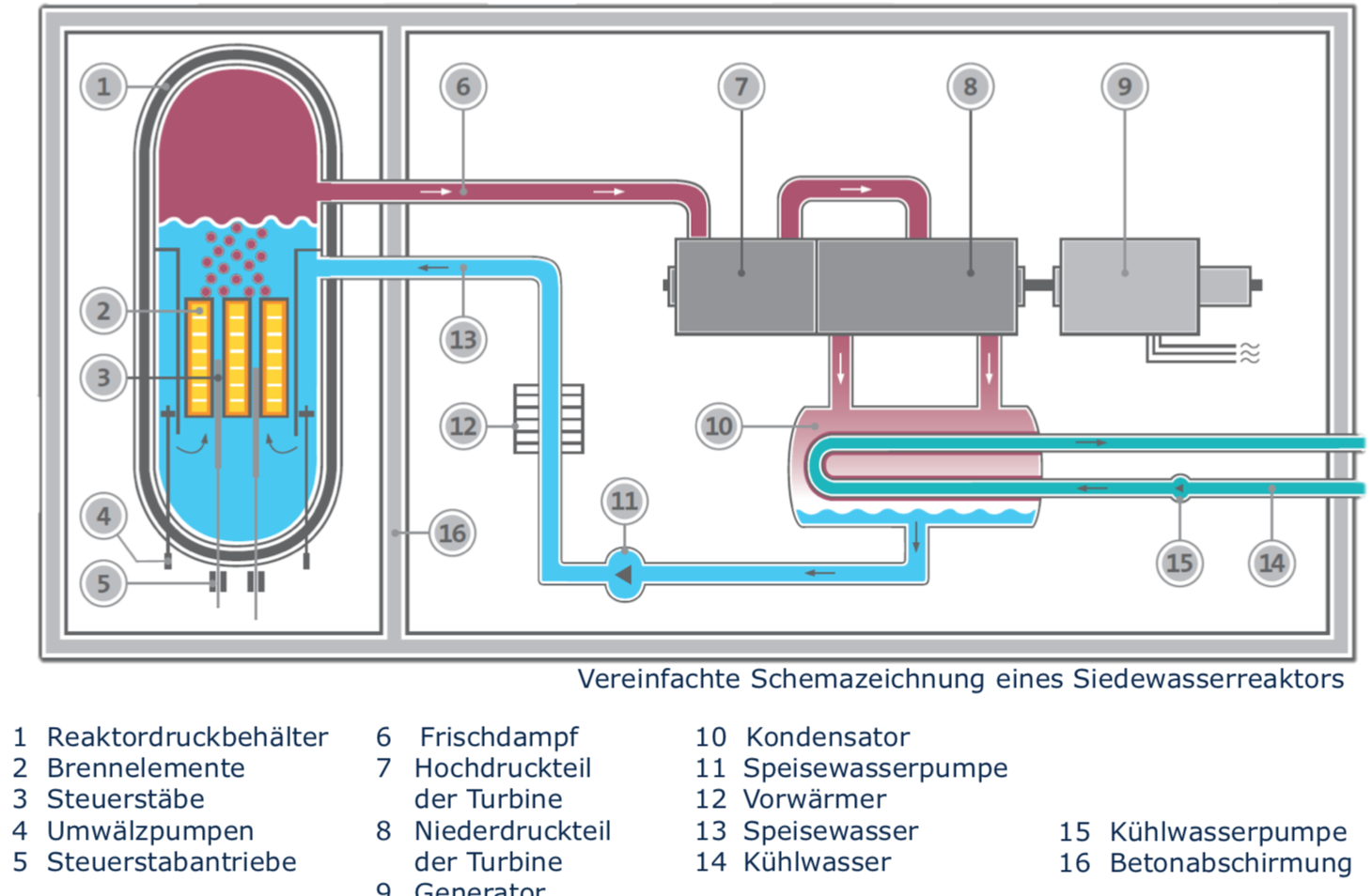 Welche Reaktortypen gibt es ? Beschreiben sie schematisc... | Umweltaspekte | Repetico