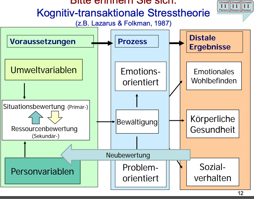 Zeichne das Modell der Kognitiv-transaktionalen Stresstheor…