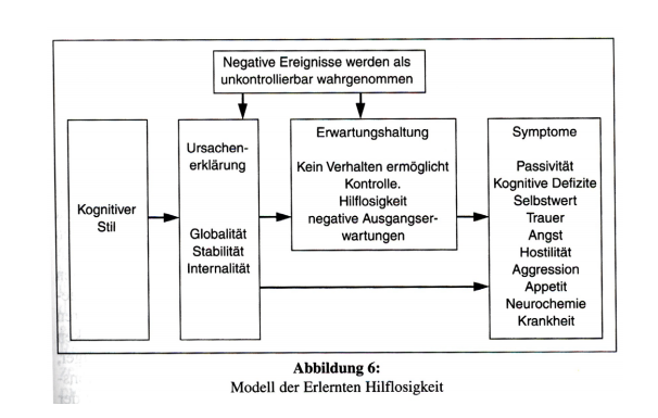 Wie schaut Seligmans Modell der gelernten Hilflosigkeit ... | Klinische Psychologie | Repetico