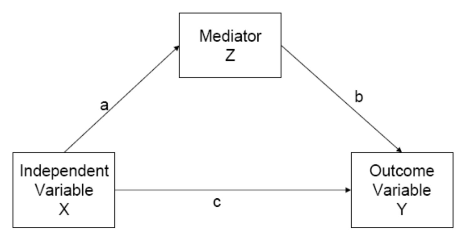 Illustrate the mediator model | Empirical Research Methods | Repetico