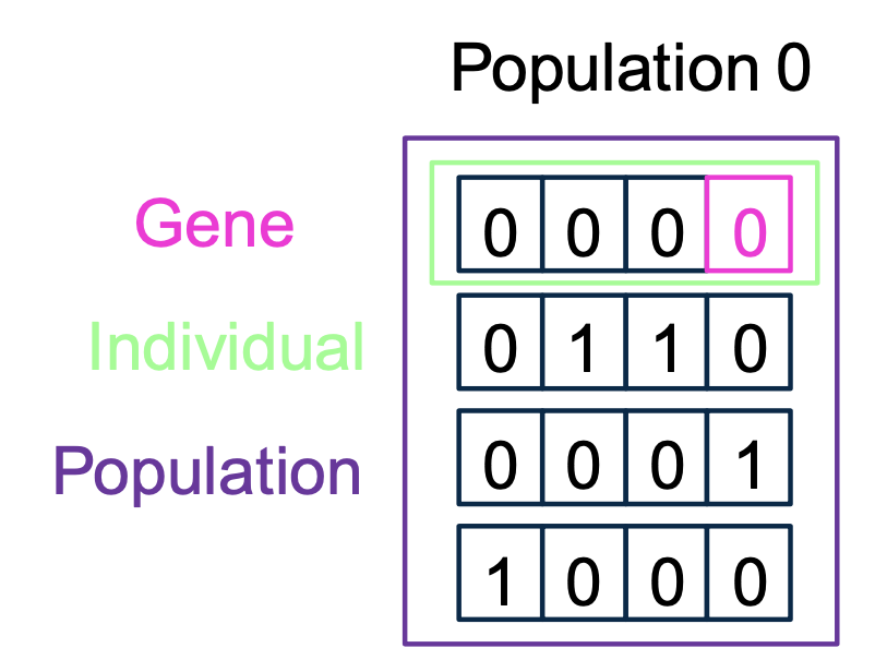 Structure of genetic algorithms | Software Testing | Repetico