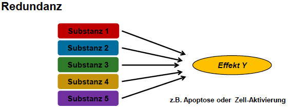 Was bedeutet Redundanz? | Immunologie | Repetico