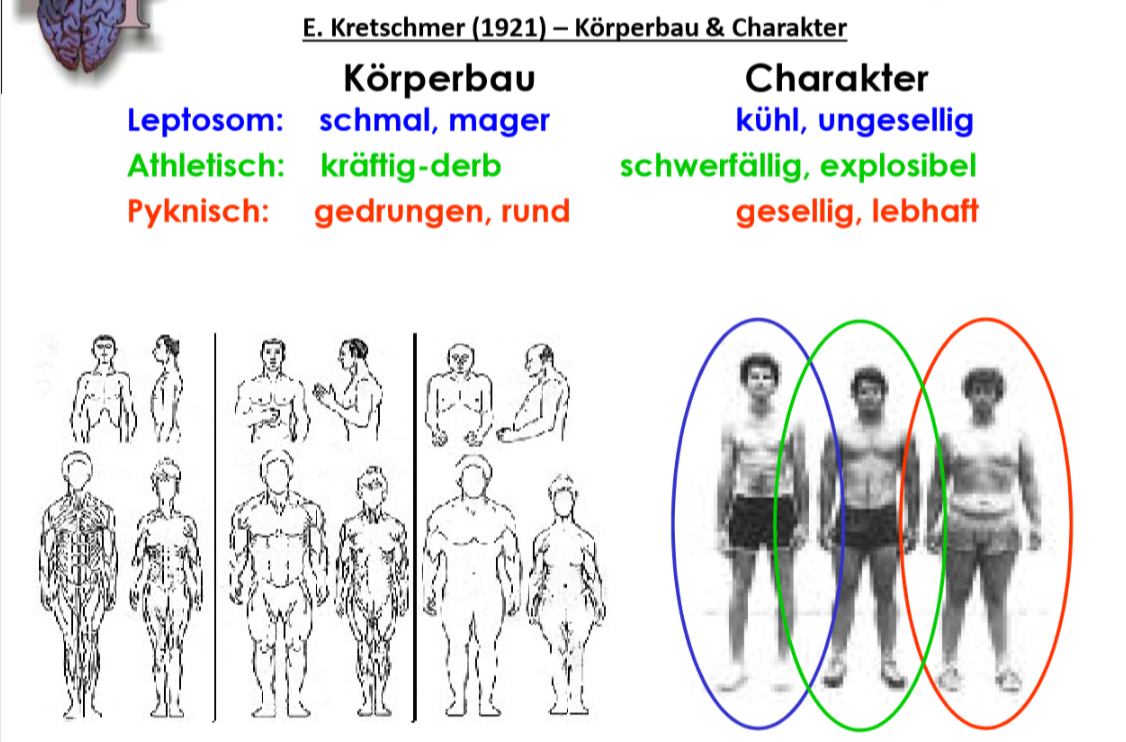 Kretschmer Theorie | Persönlichkeit und Schizophrenie | Repetico