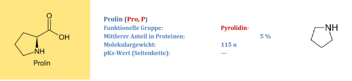 Prolin | proteinogene Aminosäuren | Repetico