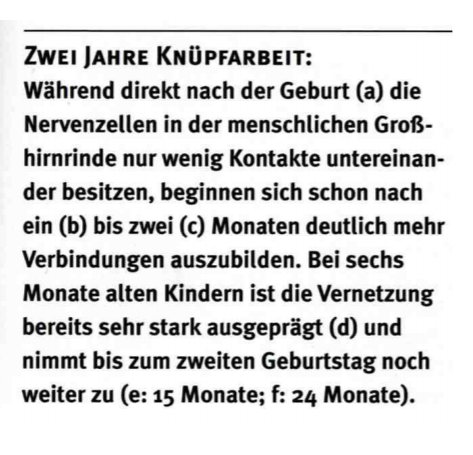 Synaptogenese | Lernen Vorlesung 1 | Repetico