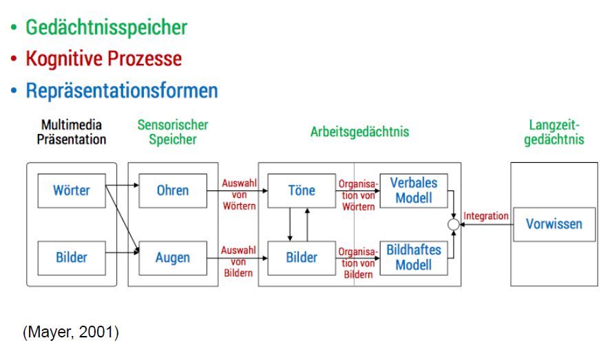 Cognitive Theory of Multimedia Learning (Mayer, 2001 ...