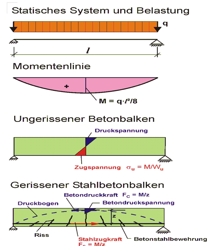 Wie erfolgt das Tragverhalten von Stahlbeton? | Bautechnisc…