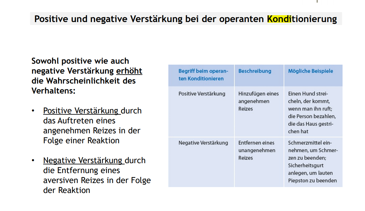 8 Beispiele Für Positive Und Negative Verstärkungen Und Bestrafungen ...