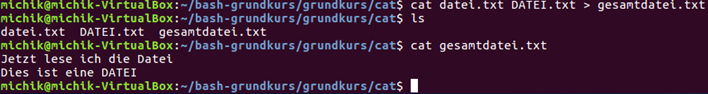 Was macht das Kommando "cat"? | Linux | Repetico