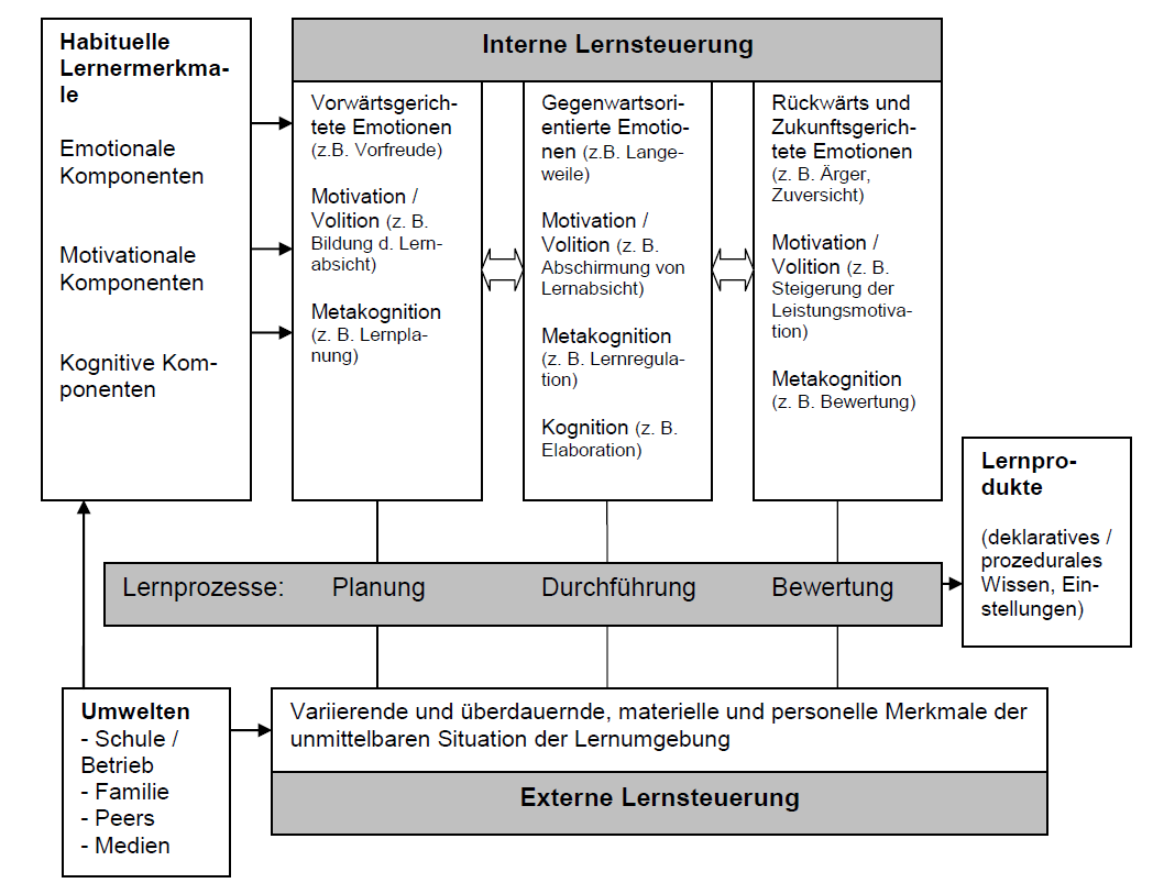 Das Rahmenmodell des SRL | Lernen | Repetico