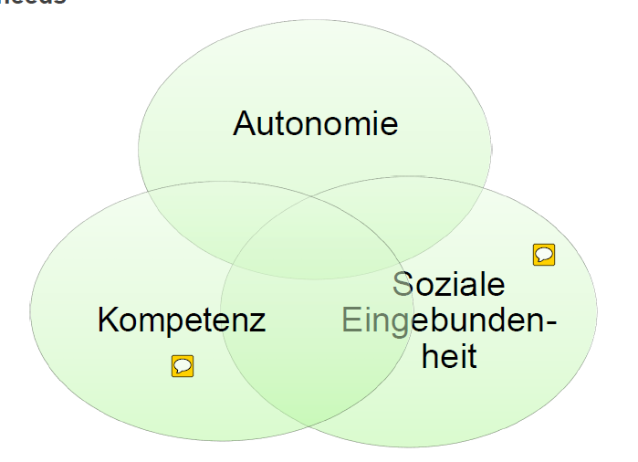 3 basic needs-> Psychologische Bedürfnisse | Lernen | Repetico