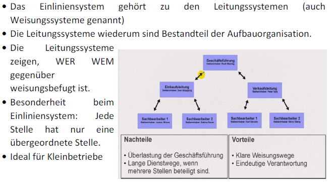 Beschreiben Sie die Einlinien-Organisation. Geben Sie Vor-
