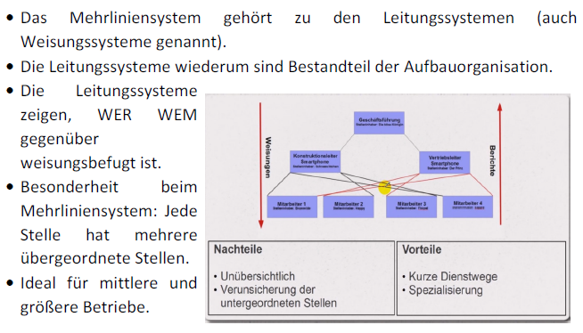 Beschreiben Sie die Mehrlinien-Organisation. Geben Sie Vor-…