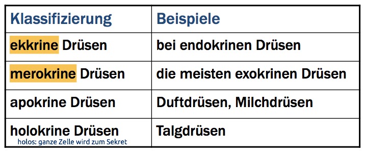 Sekretionsmechanismus: 4 Klassifizierungen, je ein Beisp ...