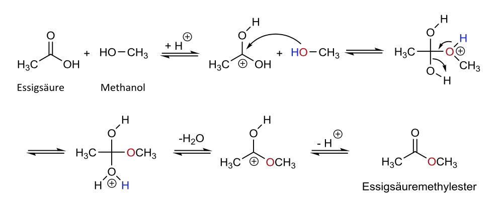 Was ist eine Veresterung und was ist eine Verseifung? | Chemie ...