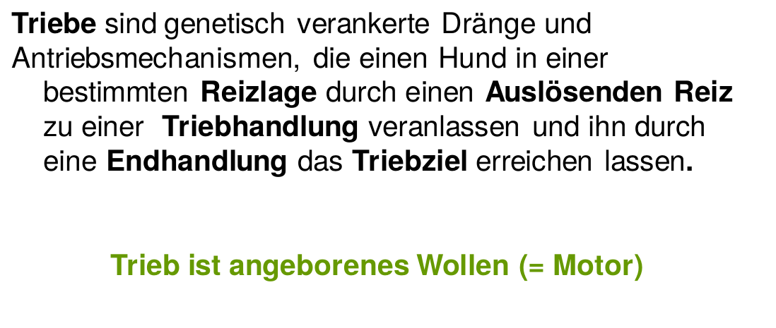 - Erklären Sie den Begriff: Trieb | Thenert Fragen | Repeti…