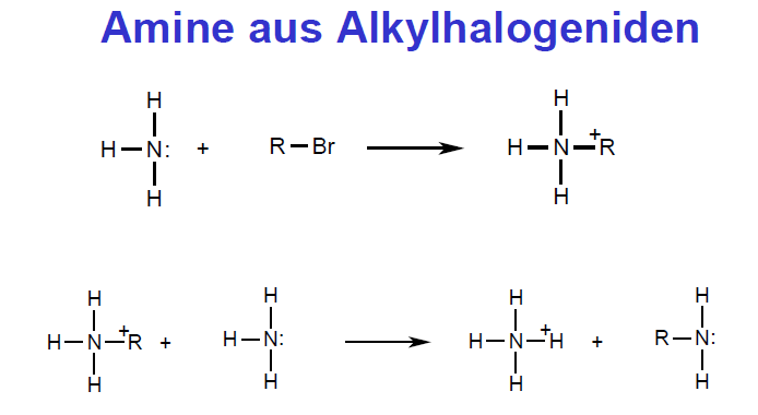Synthese von Aminen | OC | Repetico