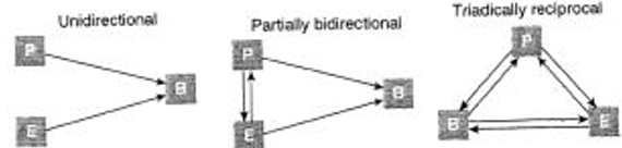 Ich kann erläutern was Bandura mit triadische reziproke... | Perso ...