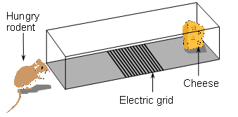 Columbia Obstruction Box aus feldtheoretischer Sicht | Moti…