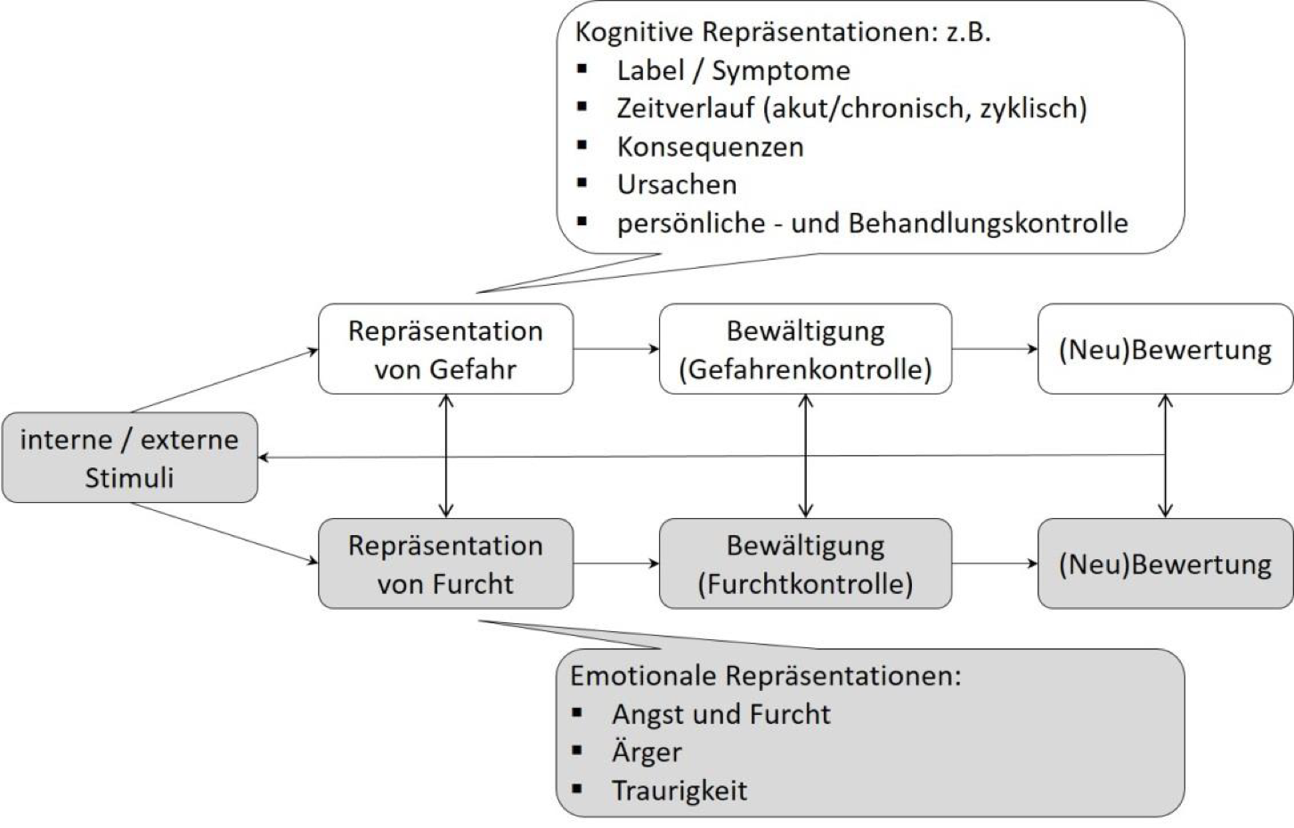 Das Common-Sense-Modell der Selbstregulation | offene Frage…