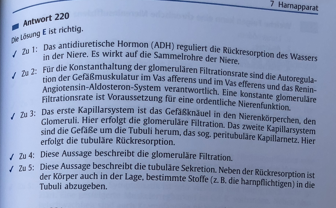 Anatomie Niere | Nephro | Repetico