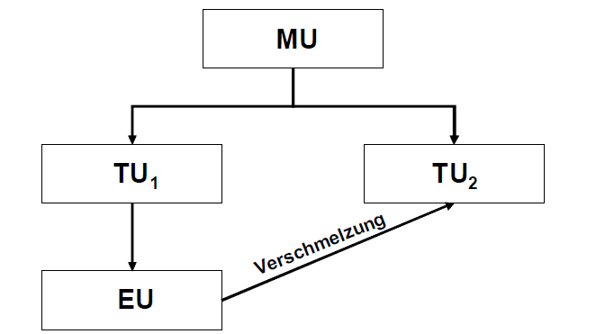 HGB Verschmelzung, Anschaffungskostenmethode, Sonderfälle