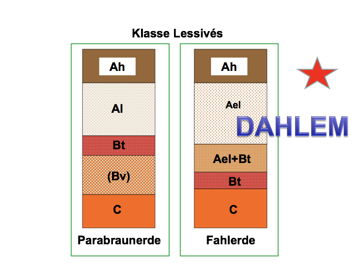 Beschreibe die Klasse: Lessivés | Bodenkunde 2 | Repetico