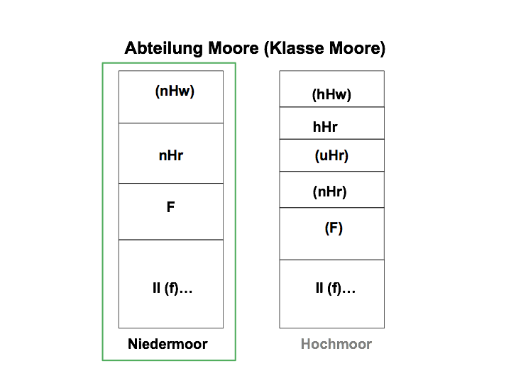 Beschreibe die Abteilung: Moore und nenne ihre Bodentypen