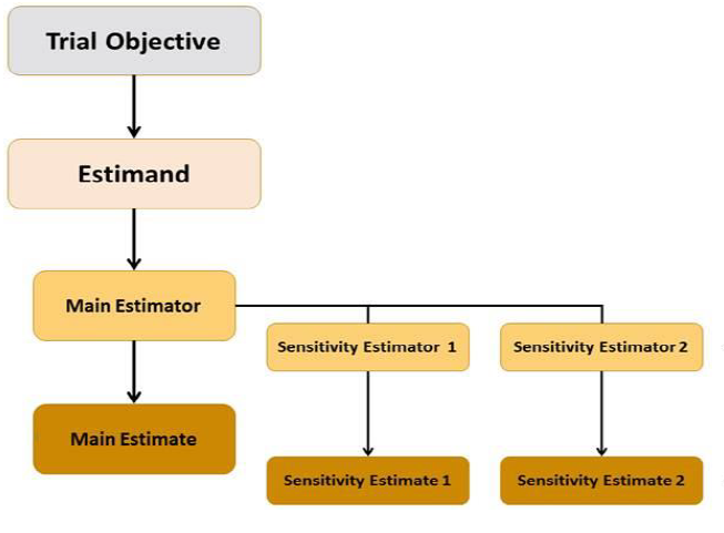 Robustness of the primary estimation method | Klinische Stu…
