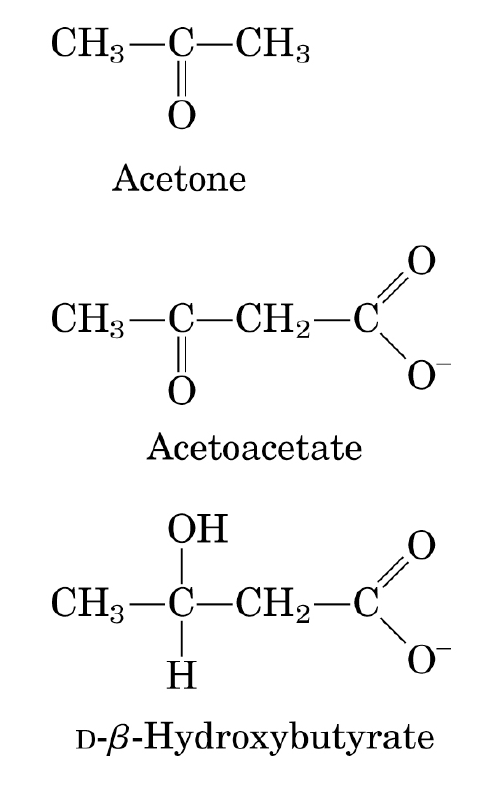 Woraus und wo werden Ketonkörper gebildet?Wo werden sie... | Biochemie ...
