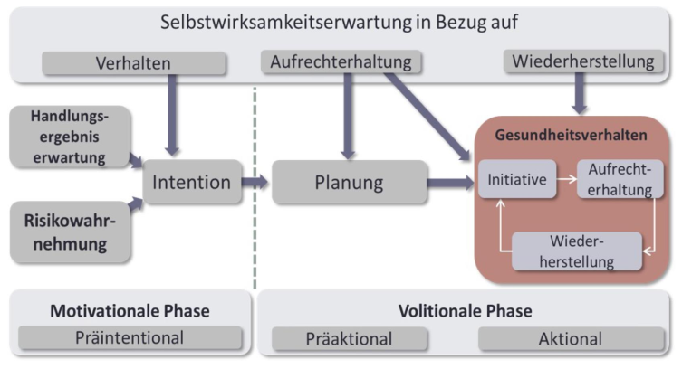 Wie sieht das HAPA nach Schwarzer (1992) aus? | Gesundheitspsychologie ...