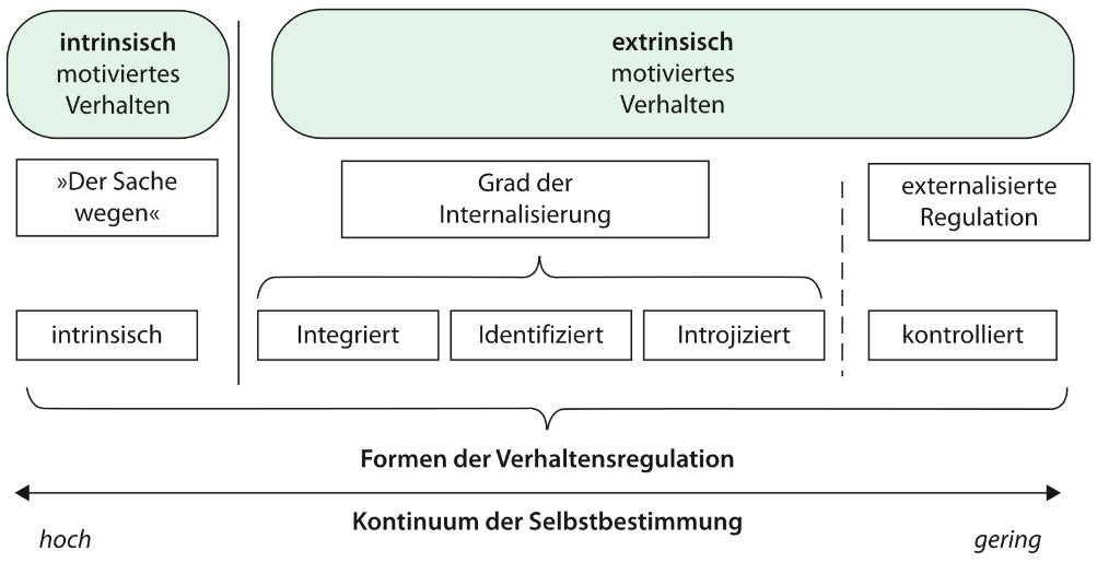 Theoretische Ansätze intrinsischer Motivation:Selbstbestimm…
