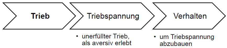3 Merkmale der Triebtheorien + Eigenschaften Triebzusta... | Motivation ...
