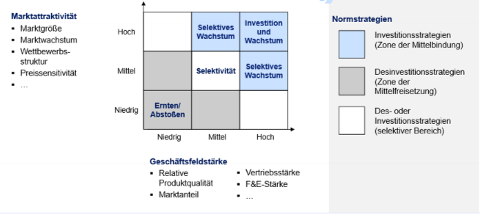 Aufbau und Strategien McKinsey-Portfoliomatrix | BW17 - Kur…