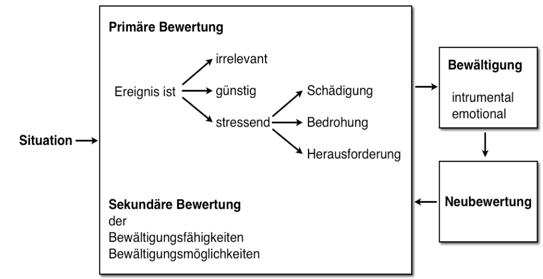 Beschreibe das transaktionale Stressmodell nach Lazarus | Erwerbsbezogene Beanspruchung, Stress ...