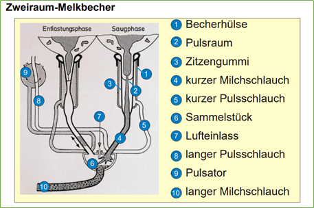 Folie Zwei-Raum Melkbecher beschriften! | Agrartechnik Stumpi | Repetico
