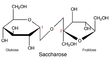 Nenne Struktur und Vorkommen von Saccharose. | 2. Modul 3.