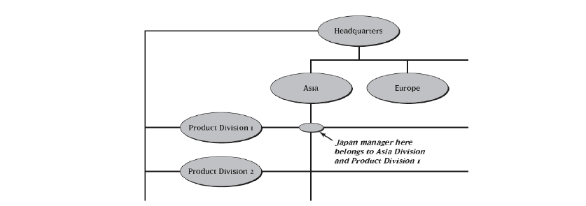What is the global matrix structure? | Management 2 | Repetico