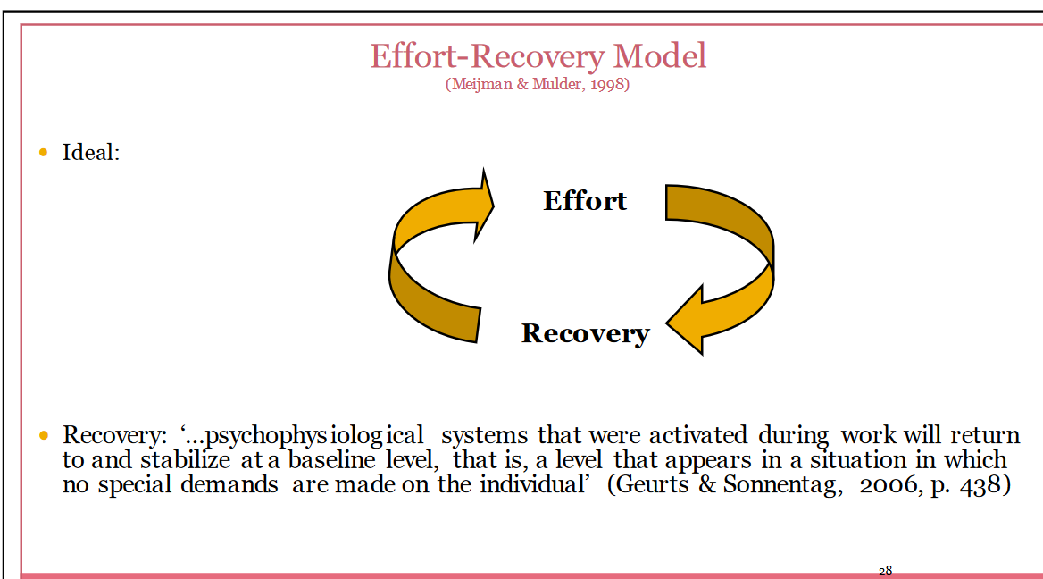 related model??? | mental load and stress lecture 6 | Repetico