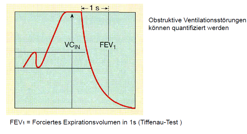 Welche Lungenvolumina werden mittels einem Spirometer er ...