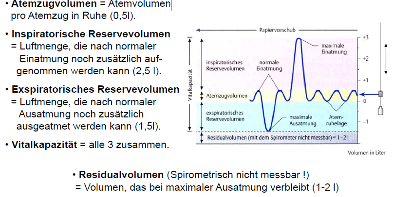 Welche Lungenvolumina werden mittels einem Spirometer er ...