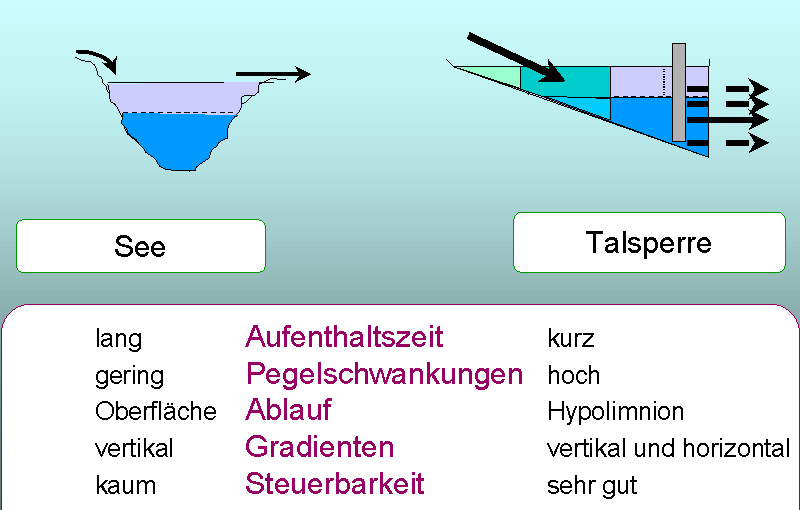 Wie unterscheidet sich eine Talsperre von einem See? | Seme…